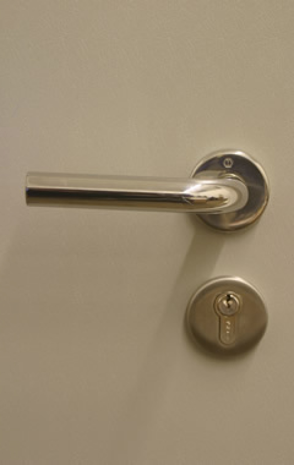 Strong Steel Door Lever handles, pull handles and outside operators.